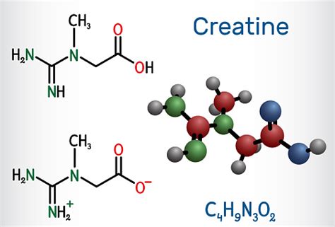 Creatine Molecule Food Supplements Structural Chemical Formula And