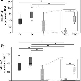 Expression Of MiR19a B3p By Small RNAseq Expression Level Is