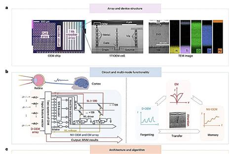 tech xplore on linkedin optoelectronic device mimics human vision for diversified in sensor…