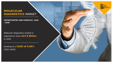 Molecular Diagnostics Market By 2030 Size And Analysis By Key Players