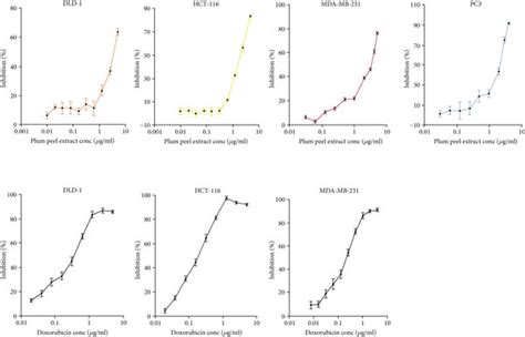 Cytotoxic Effects Of Plum Peel Extract Ppe On Cancer Cell Lines In
