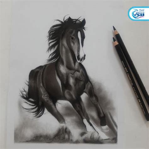 نمونه کار سیاه قلم