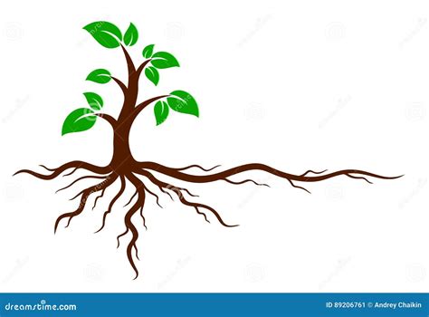 Green Tree With Roots Stock Vector Illustration Of Spring 89206761