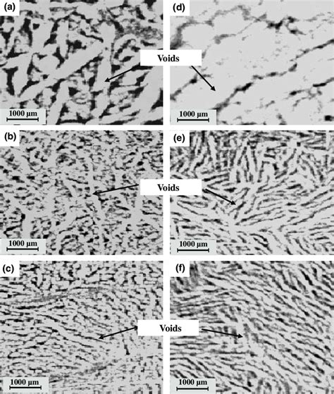 Microstructure Of Frozen Food Material After Freeze Drying Imaged By