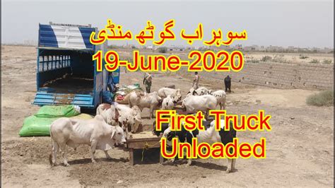 First Truck Unloaded Sohrab Goth Mandi 2020 Youtube