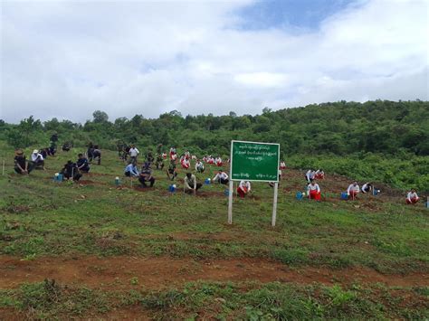 မိုင်းစံမြို့ ခလရ ၁၅၀ ခြေလျင်တပ်ရင်း၌ ပထမအကြိမ် မိုးရာသီ စုပေါင်းသစ်ပင်စိုက်ပျိုးပွဲ ကျင်းပ