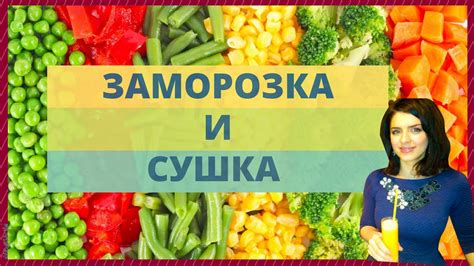 ЗАМОРОЗКА и СУШКА Овощей Польза или Вред Мое мнение Youtube