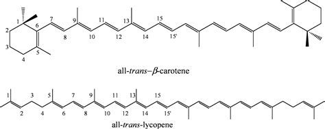 Lycopene Structure