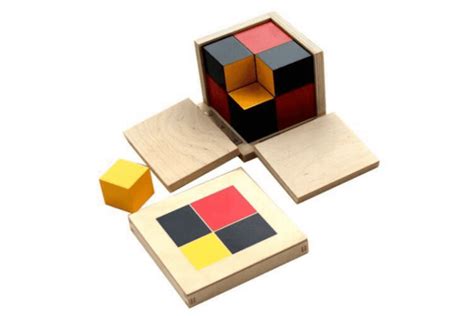 Algebraic Binomial Cube I The Montessori Room
