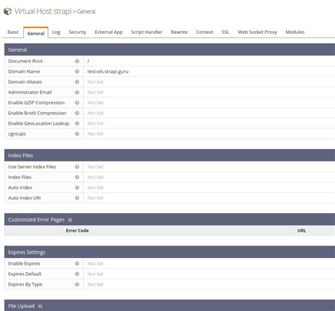 Submit How To Deploy Strapi With Openlitespeed · Issue 213 · Strapi