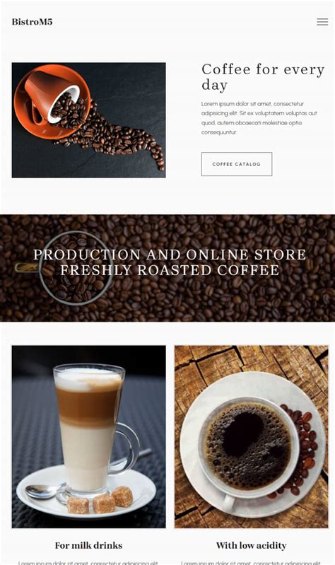 Bootstrap Bootstrap Ecommerce Template