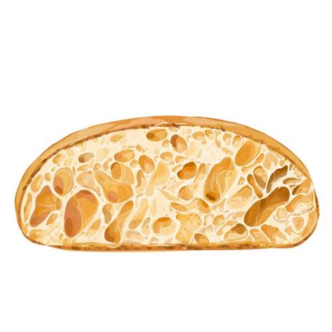 150 Migas De Pan Fondo Blanco Ilustraciones De Stock Gráficos