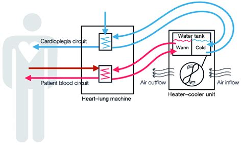 Schematic Representation Of Heatercooler Circuits Tested For Download Scientific Diagram