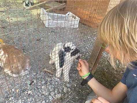 Cascina Oslera Una Domenica In Famiglia Al Parco Della Mandria