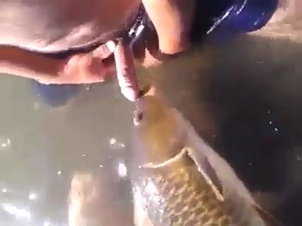 Homem Fazendo Sexo Peixe Xvídeos Porno e Sexo Grátis
