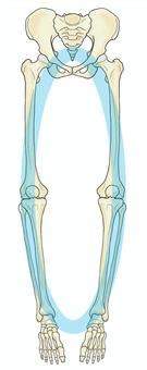 무료 벡터 {{제목}}