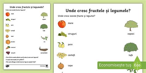Unde cresc fructele și legumele Fișă de lucru