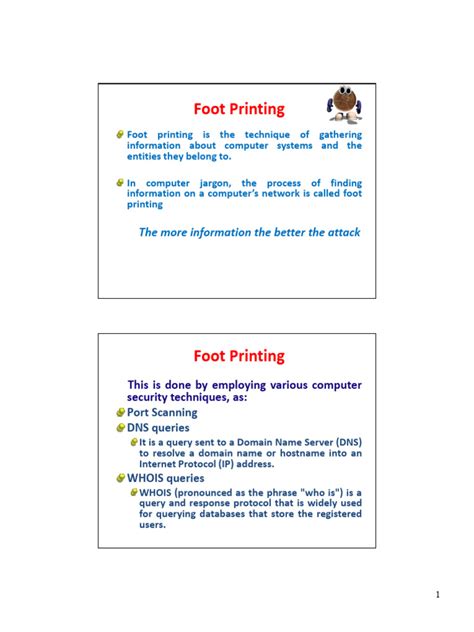 Dst Chapter 2 Network Enumeration And Foot Printing 2023