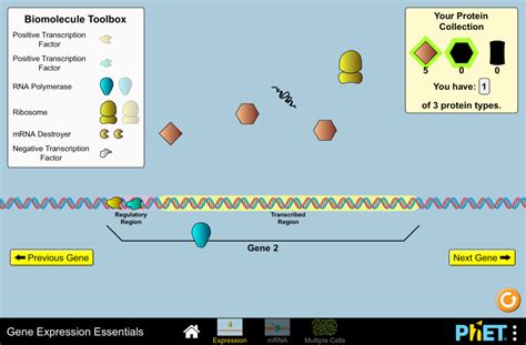 Gene Expression Virtual Labs Virtual Lab Hub