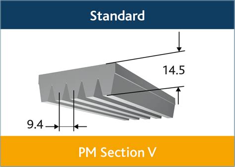 Pm Section Poly V Transdev