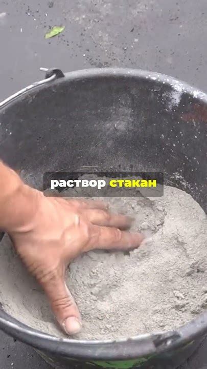 Уход за Перцем удобрения и подкормка Youtube