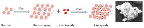 The Application Of Natural Carotenoids In Multiple Fields And Their