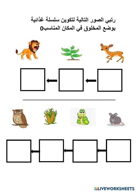 8006110 السلسة الغذائية Abyar Darweesh