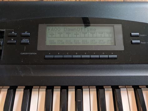 Korg W Photo Gallery Syntaur