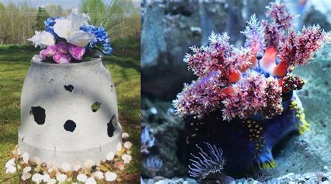 Now You Can Turn Cremated Remains Of Loved Ones Into Blossoming Coral