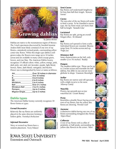 Dahlia Identification Chart