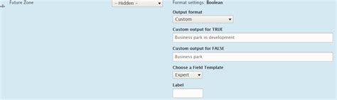 Custom Boolean Field Is Not Translatable 2925584