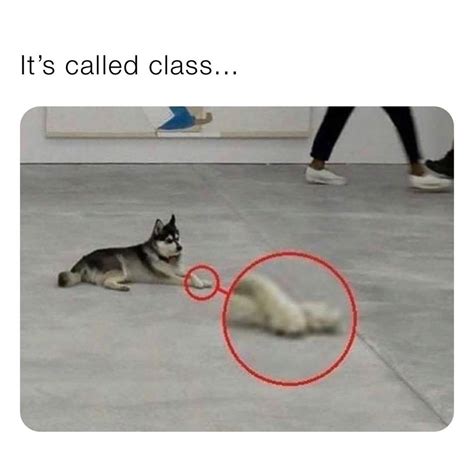 it s called class funny