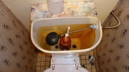 Подвод унитаза: инструкции для подключения водопровода и канализации