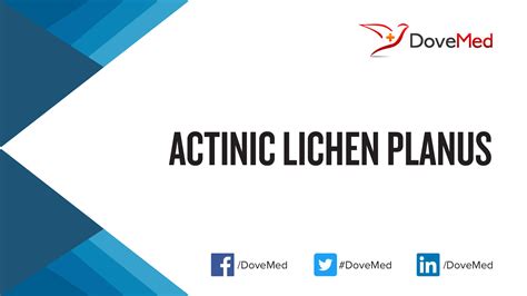Lichen Planus Actinicus
