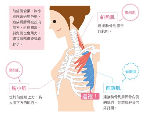 矯正圓肩很簡單，每天花10秒「壓手向上抬」幫助肩頸回到正位！ Heho Sports