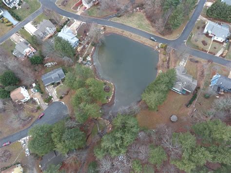 5 Questions To Ask A Pond Management Company Platinum Ponds And Lake