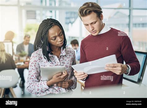 Double Checking Data With A Trusted Colleague Two Young Colleagues
