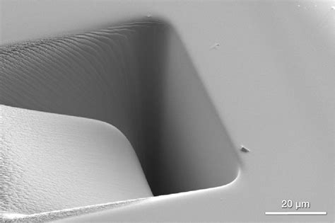 Cross Sectioning Thermo Fisher Scientific Sg