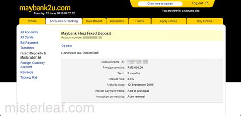 如何上网存放定期存款 Maybank2u Efixed Deposit Misterleaf