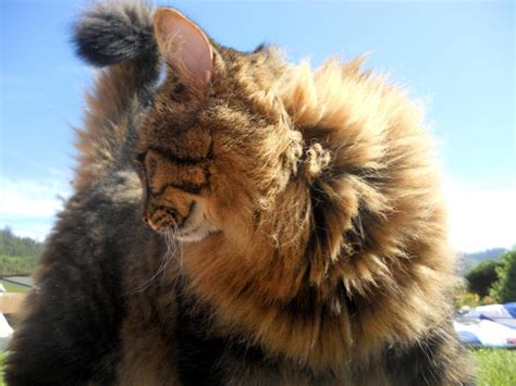 Asher Fleming Miller Handsomeasher Twitter