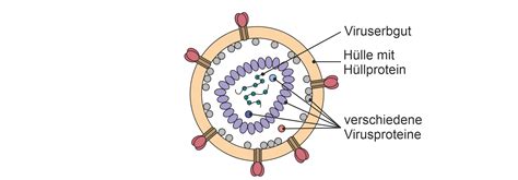 Hiv 1 Particle Klartext Blog Scilogs Wissenschaftsblogs