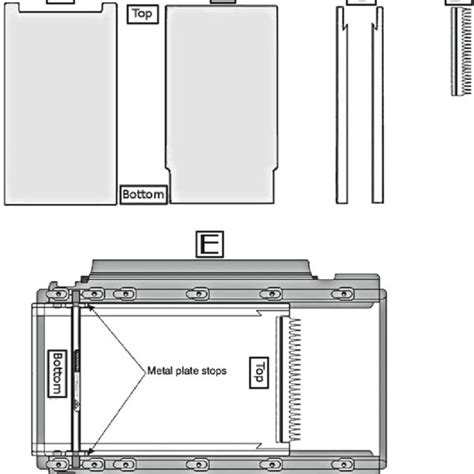 Pdf Microsatellite Fragment Analysis Using The Abi Prism ® 377 Dna