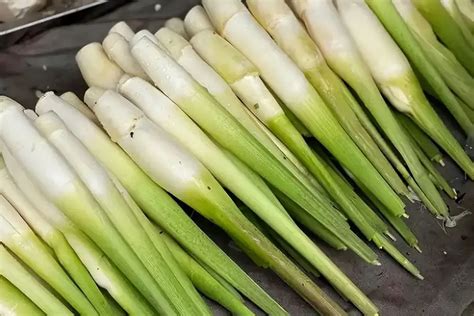 這種蔬菜現正上市 含大量「寄生蟲」 很多人卻愛生吃 後果很嚴重 別太大意 禁聞網