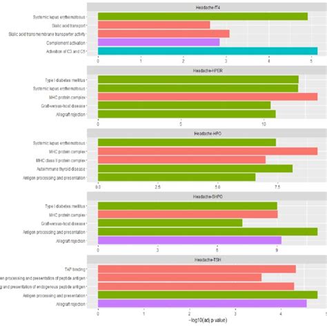 Top Five Significantly Enriched Pathways Go Kegg Reac And Wp