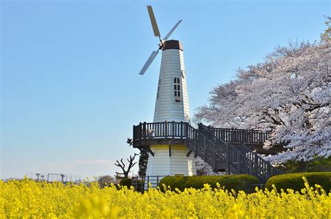 【2024年】さいたま市で人気の観光・お出かけスポット 30選 Yahooトラベル