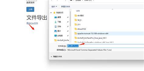 Springboot导入和导出csv文件二十八cvs Springboot Csdn博客