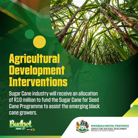 Kzn Agriculture And Rural Development Agricultural Development