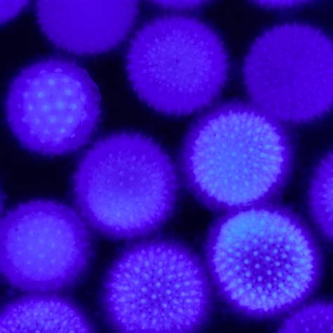 Optolong Optics Coltd On Linkedin Optolongfluorescencefilters