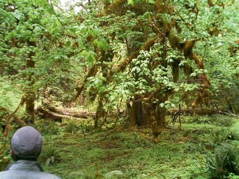 8th Grade Class Trip Flickr