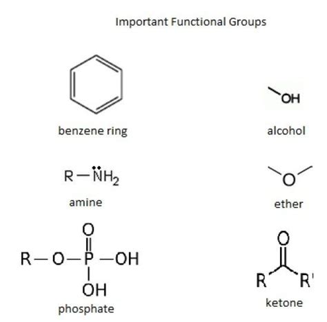 Difference Between Functional Group And Substituent Functional Group